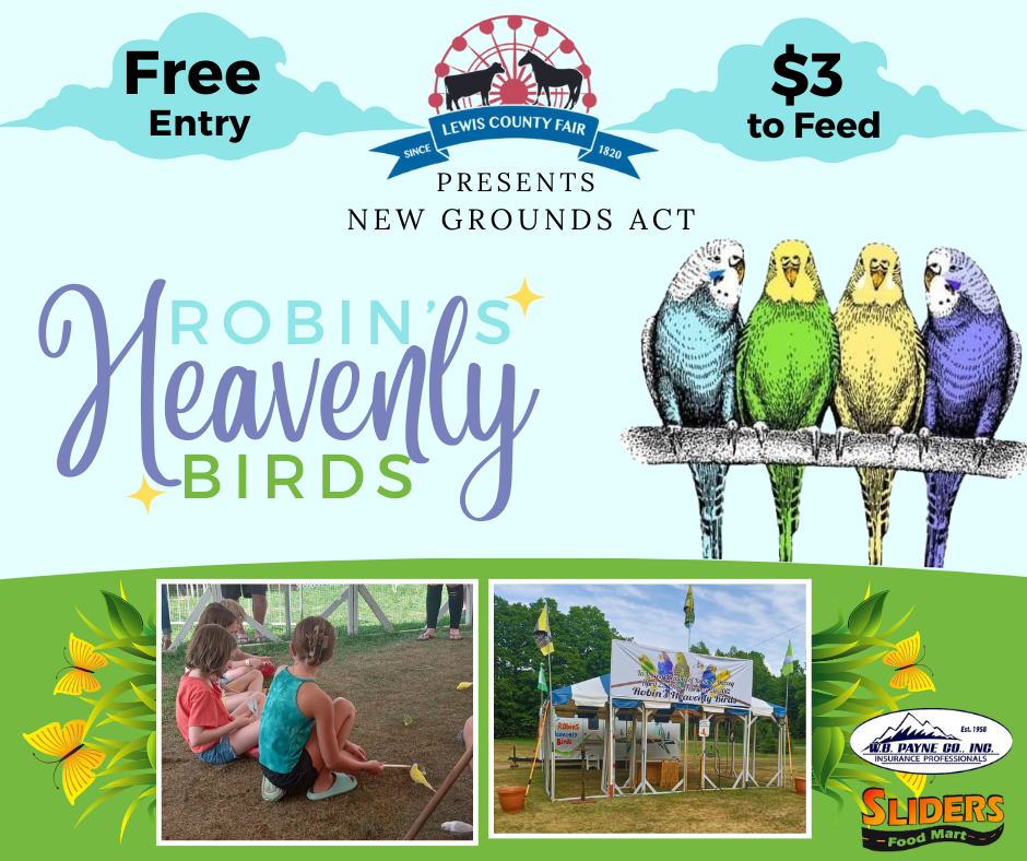 Entertainment – Lewis County Fair